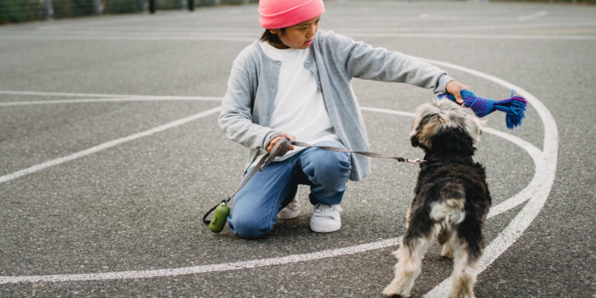 Nu vine când îl chemi - Noi suntem ROLDA si asta e ceea ce facem!