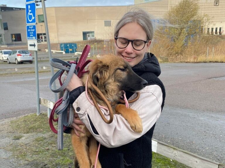 Crăciun 2022 - Noi suntem ROLDA si asta e ceea ce facem!