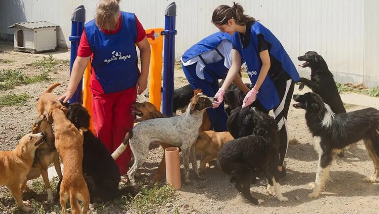 Acasă 2025 - Noi suntem ROLDA si asta e ceea ce facem!